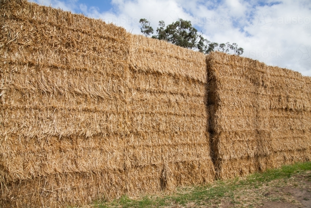 Image of Square bales of hay piled in hay stack beside country road ...