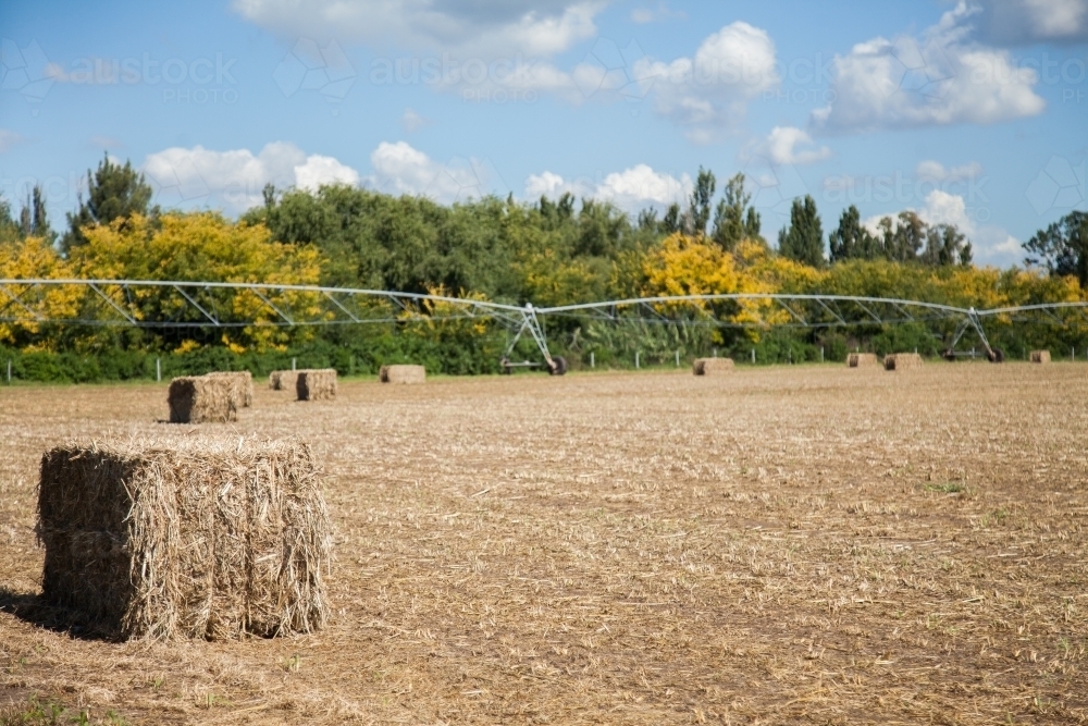 Image of Square hay bales in sunny country paddock landscape - Austockphoto