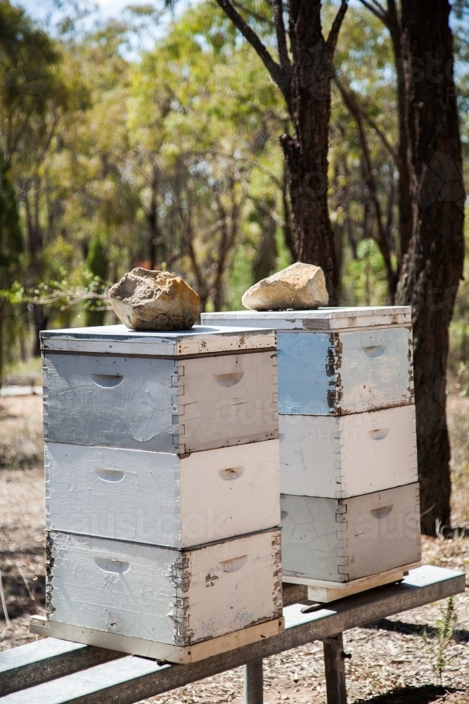 Image of Stacked bee hives in aussie bush - Austockphoto