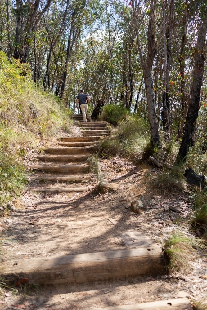 Image of Stairs leading up bushland walking trail in Blue Mountains NSW ...