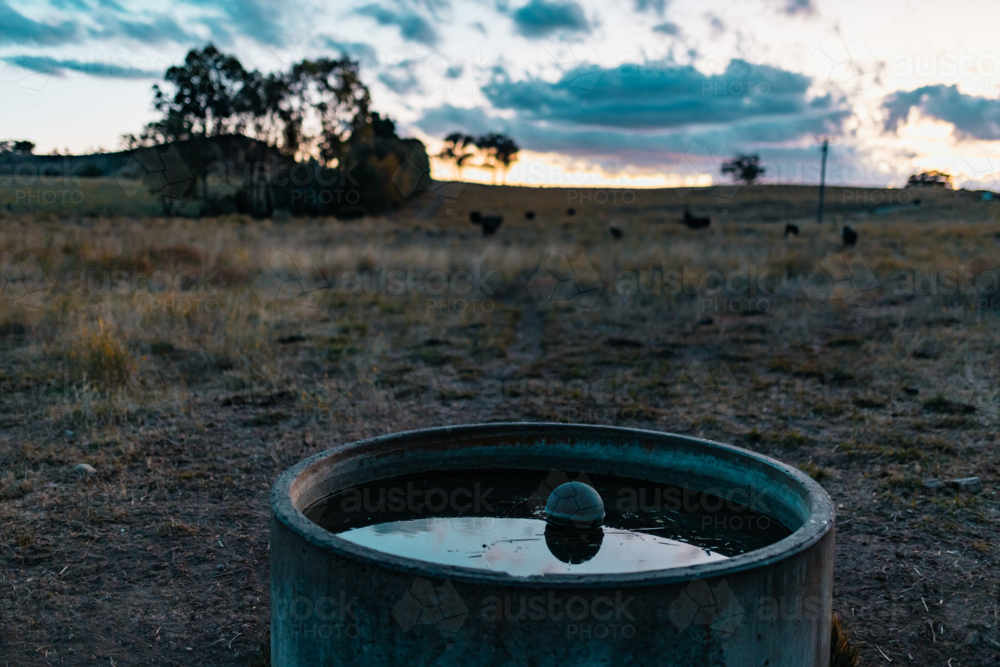 Image of Stock water trough with float in paddock in the evening ...