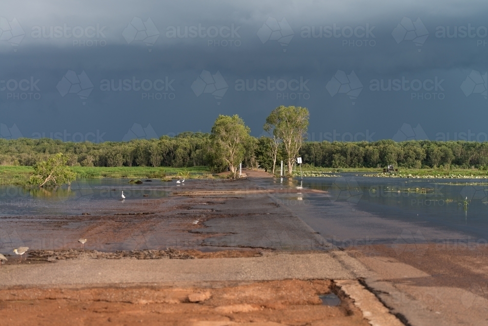 Image of Storm approaching Fogg Dam, NT - Austockphoto