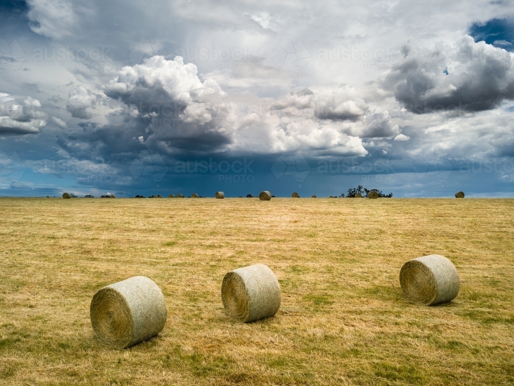 Image of Storm clouds developing over round hay bales on farmland ...
