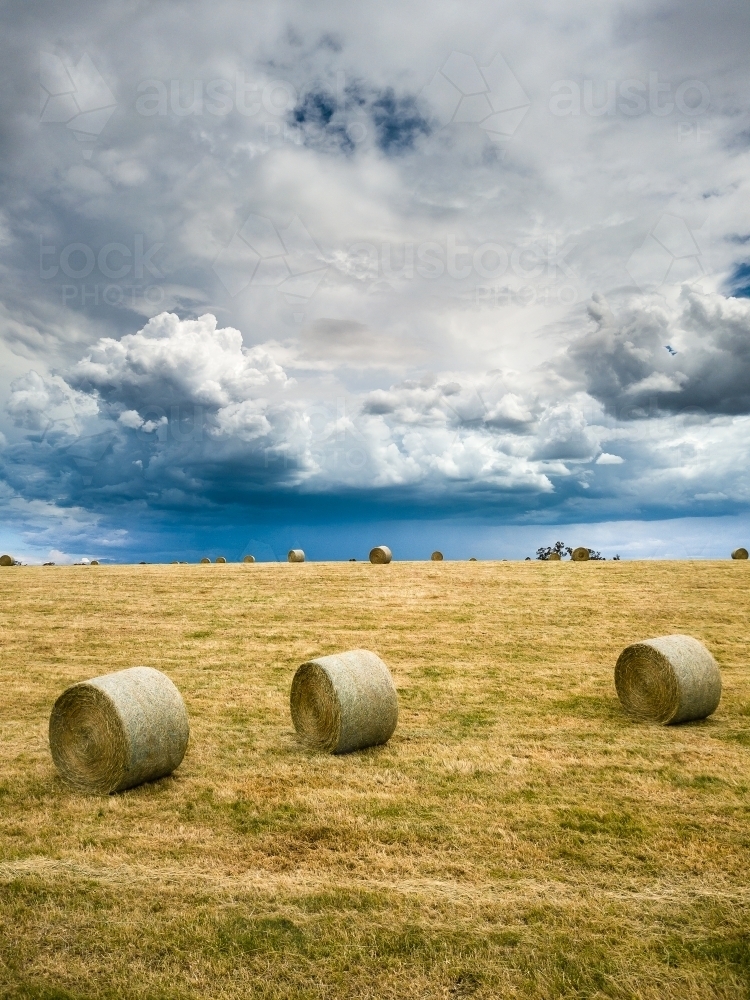 Image of Storm clouds developing over round hay bales on farmland ...