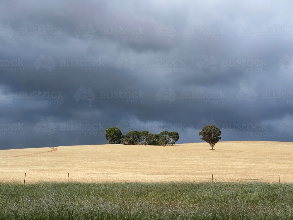 Image of storm clouds over stubble paddock - Austockphoto