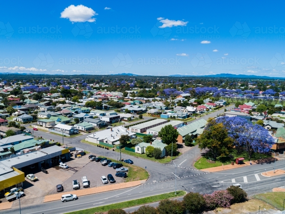 Image of Streets of singleton in spring with jacaranda trees flowering ...