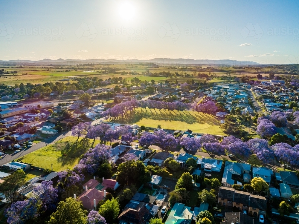 Image of Suburbs with small homes beside park in town with street lined ...