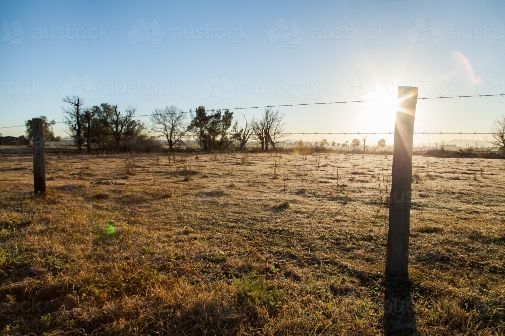 Image of Sun flare and fence post of frost covered paddock - Austockphoto