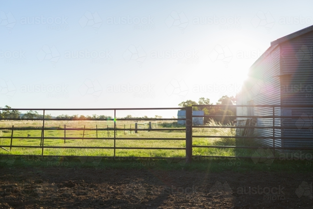Image of Sun flare over cattle yard fence and tin farm shed - Austockphoto