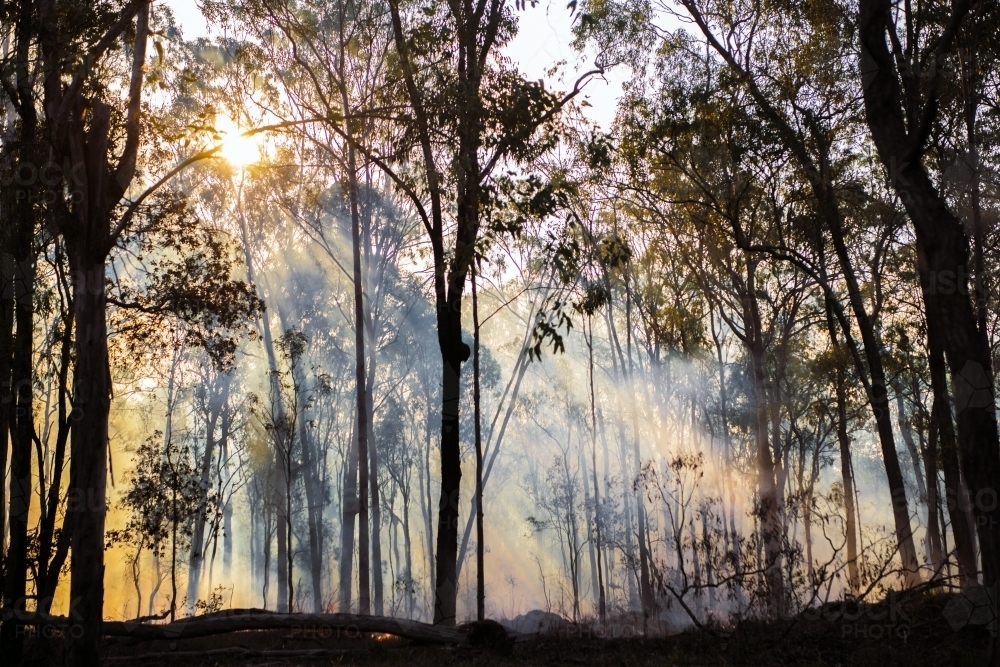 Image of Sun rays shining through smoke during a bushfire - Austockphoto