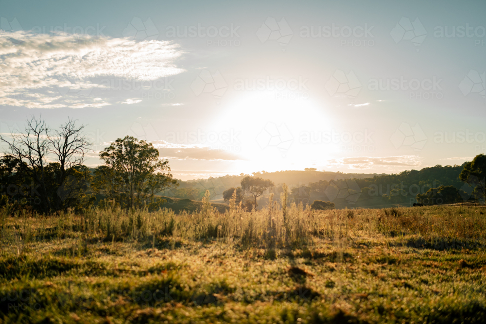 Image of Sun rising behind distant hills in rural New South Wales ...