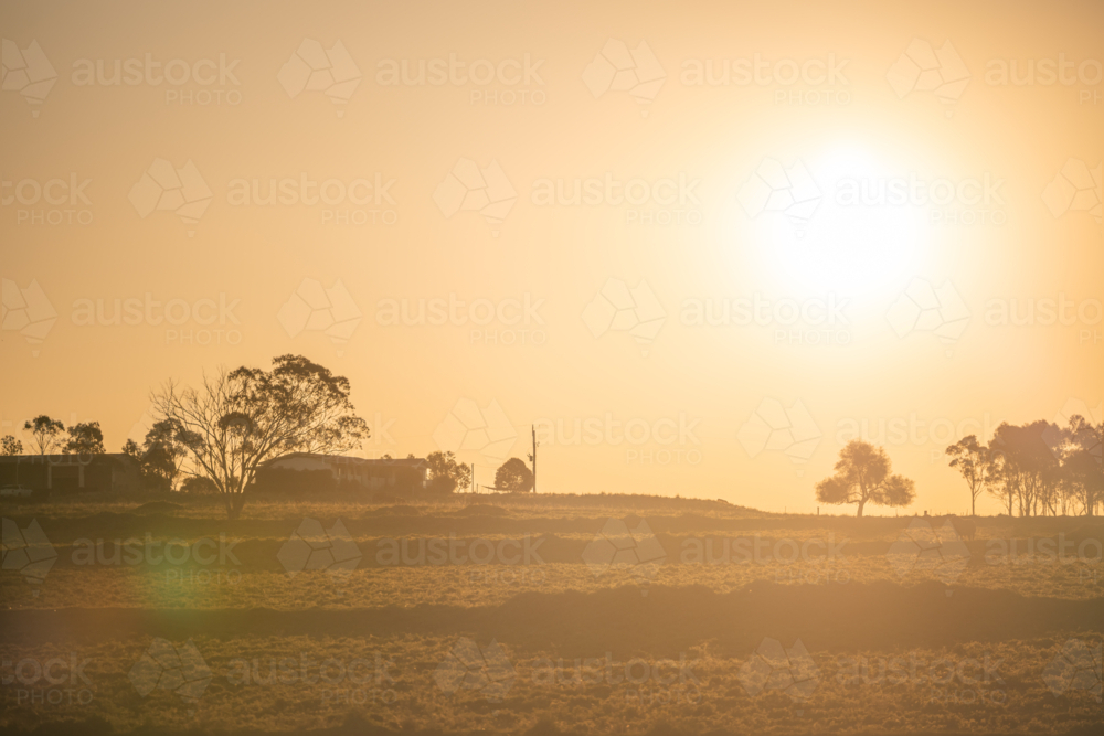 Image of Sun setting over farm in rural New South Wales bathing ...