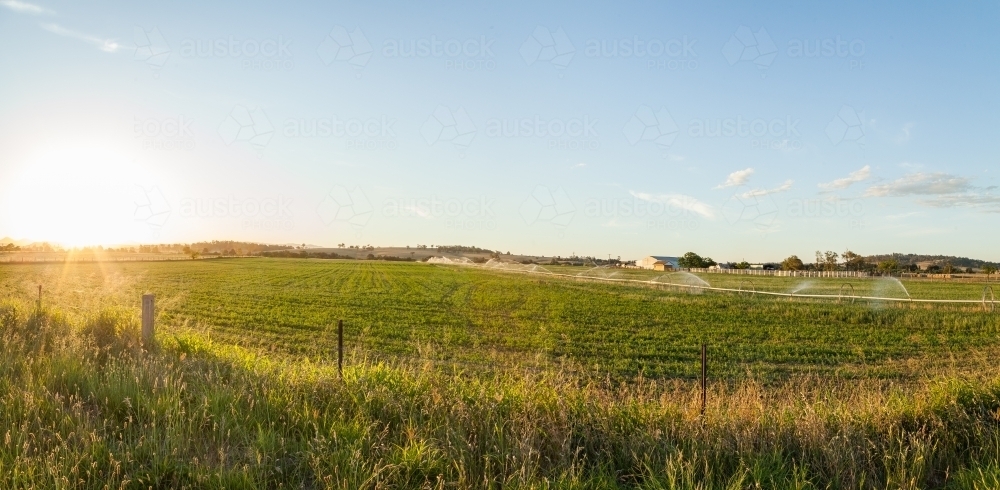Image of Sun setting over green farm paddock with irrigation sprinkler ...