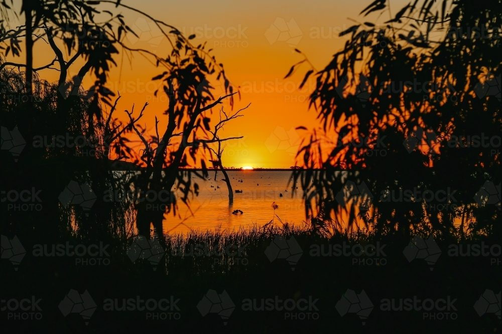 Image of Sun setting over Kow Swamp in Central Victoria - Austockphoto
