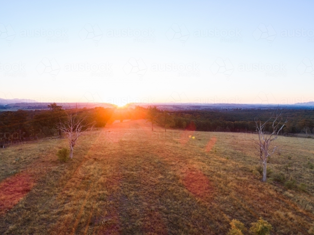 Image of Sun sinking below the horizon of trees and empty paddock ...
