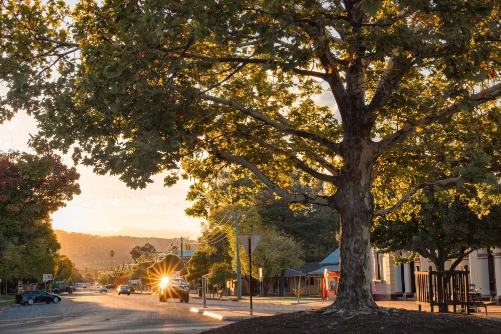 Image of Sunlight bouncing off car driving along street late in the ...