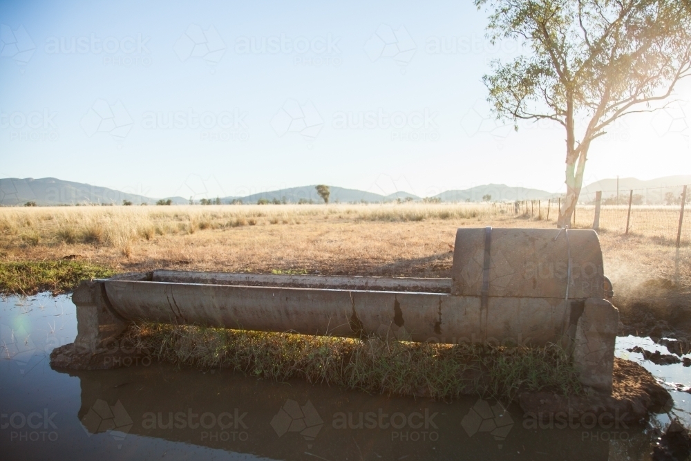 Image of Sunlight flare over concrete water trough on farm in morning ...