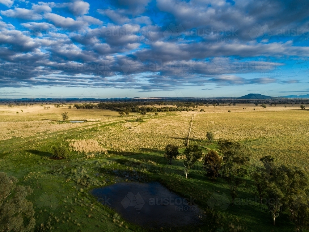 Image of sunlight on long golden grass in australian farm paddock seen ...