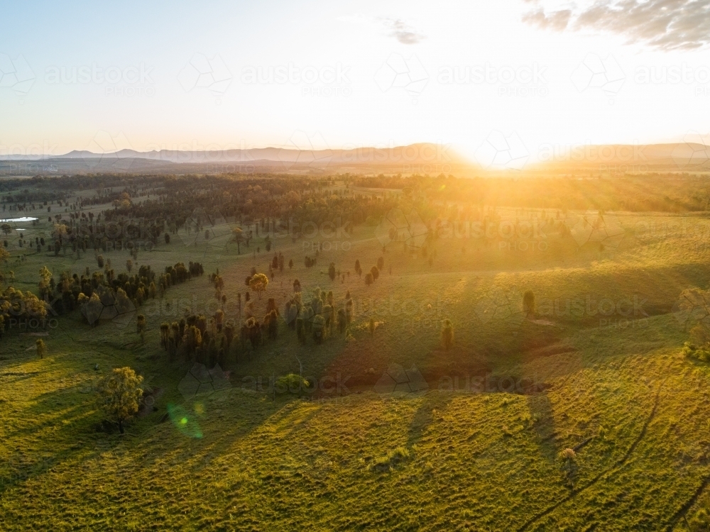 Image of Sunlight over paddock of farmland and trees in spring at ...