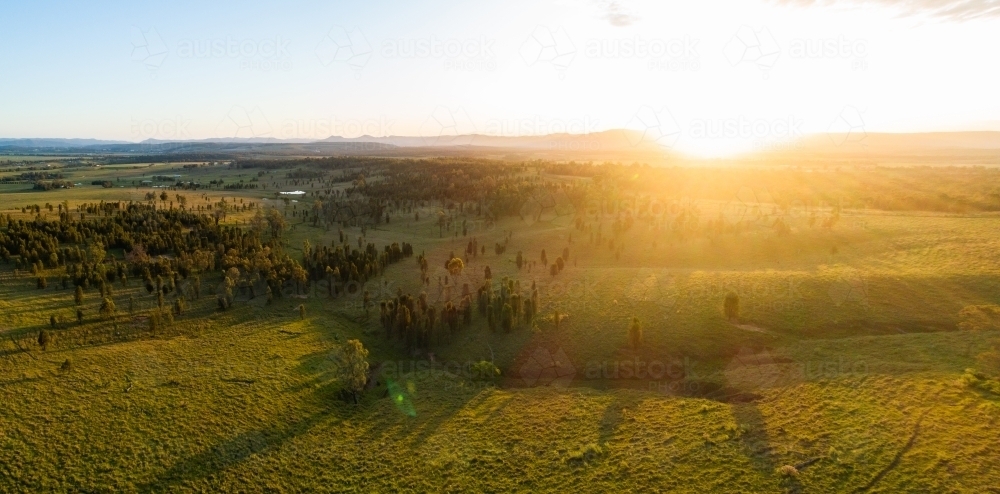 Image of Sunlight over paddock of farmland and trees in spring at ...