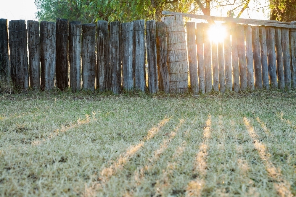 Image of Sunlight shining through wooden farm fence at sunrise ...