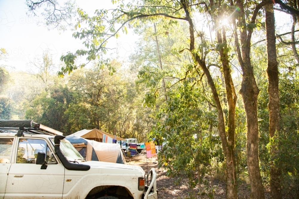 Image of Sunlight through trees at campsite with tents and 4WD ...
