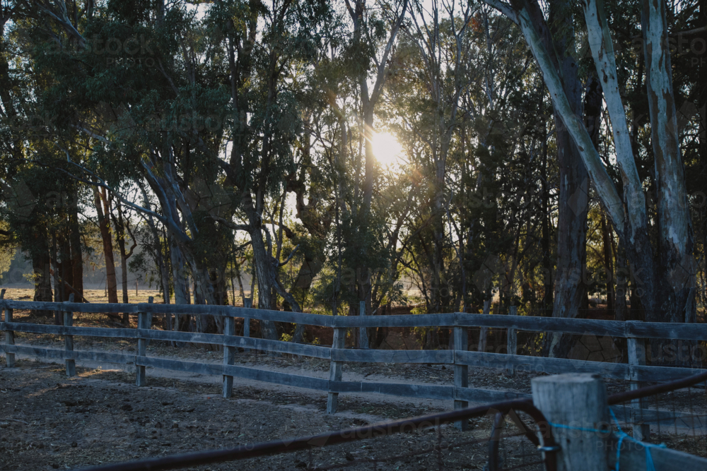 Image of Sunlight through trees casting shadows on a rural fence ...