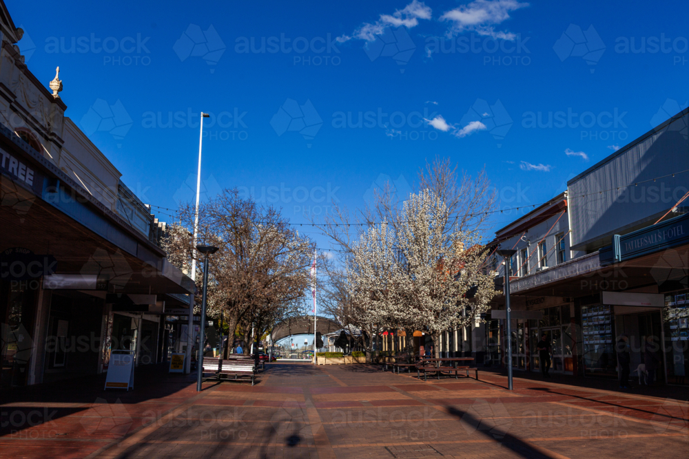 Image of Sunlit Armidale streetscape with shopfronts in shadow ...