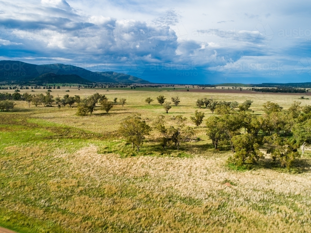 Image of Sunlit Australian farm scene with lush paddocks and green ...