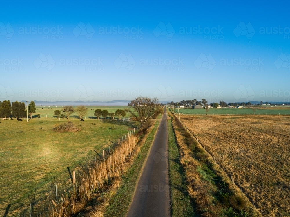 Image of Sunlit country lane with farmland on roadside - Austockphoto