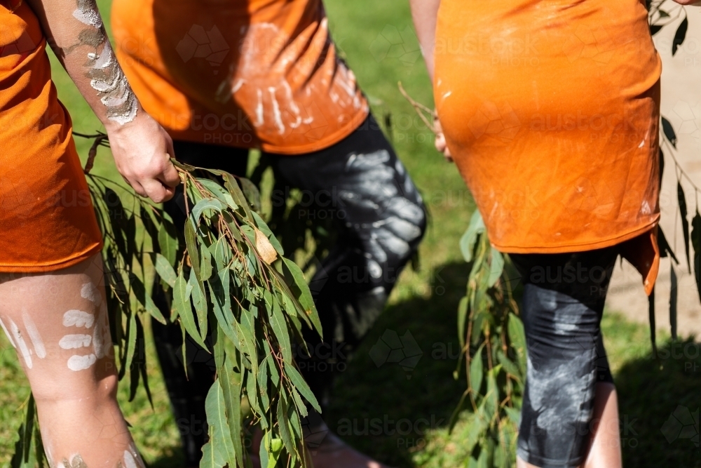 Image of Sunlit detail of first nations dancers holding gum leaves for ...