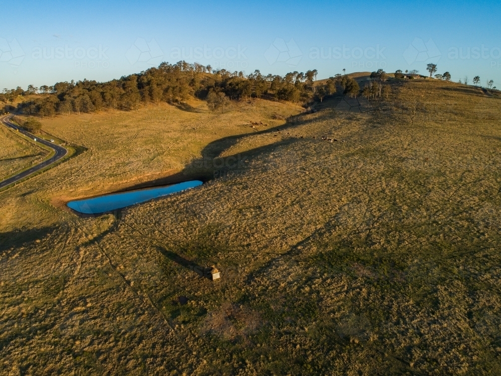 Image of Sunlit farm paddock with small dam and road into hills ...