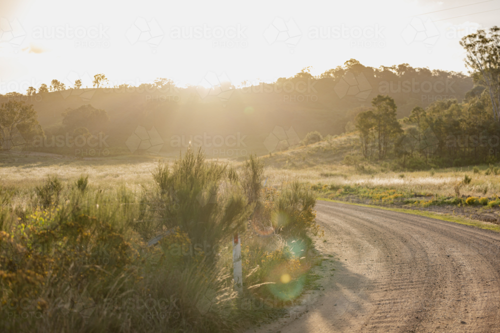 Image of Sunlit rural landscape with dirt road and fields - Austockphoto