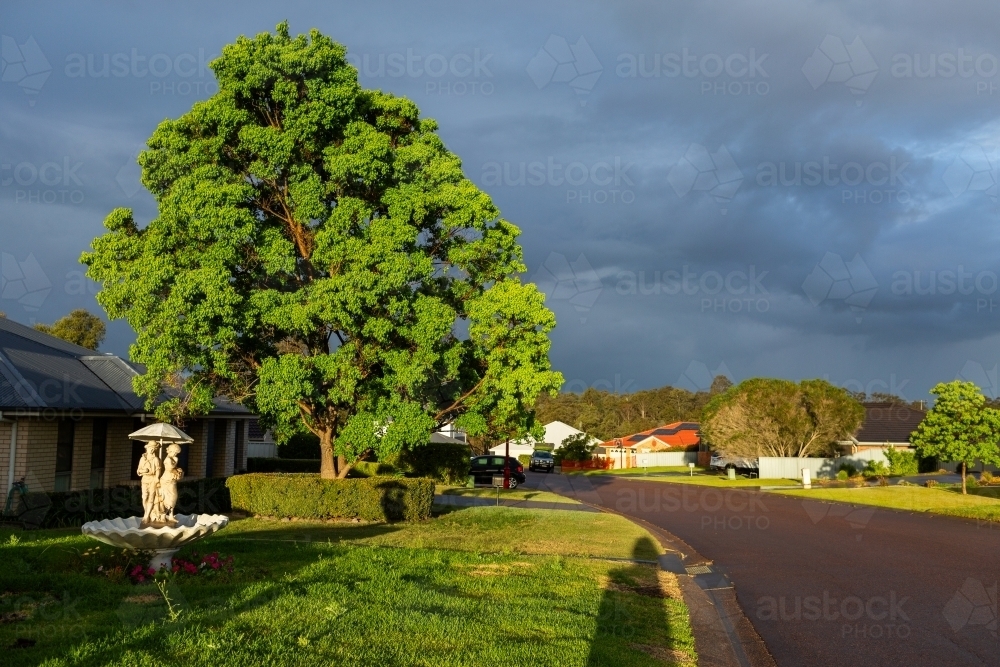 Image of Sunlit suburban street scene fresh after rain with storm ...