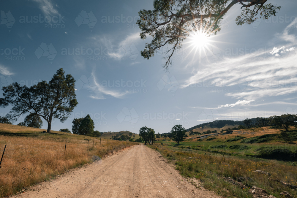 Image of Sunny rural road with green hills, trees, and blue sky under a ...