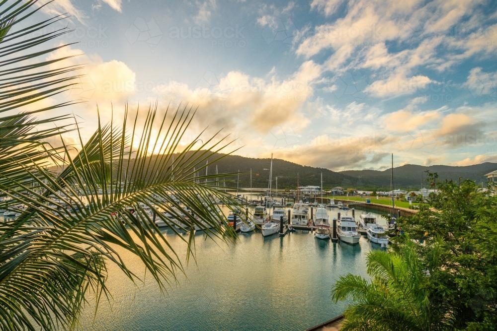 Image of Sunrise at Airlie Beach yacht harbour - Austockphoto