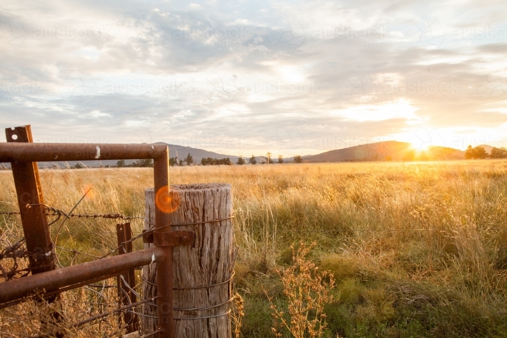 Image of Sunrise on a farm over a rural paddock gate - Austockphoto