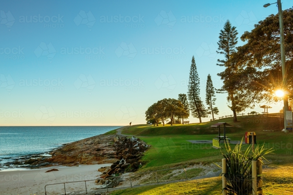 Image of Sunrise through the pine trees by the sea - Austockphoto