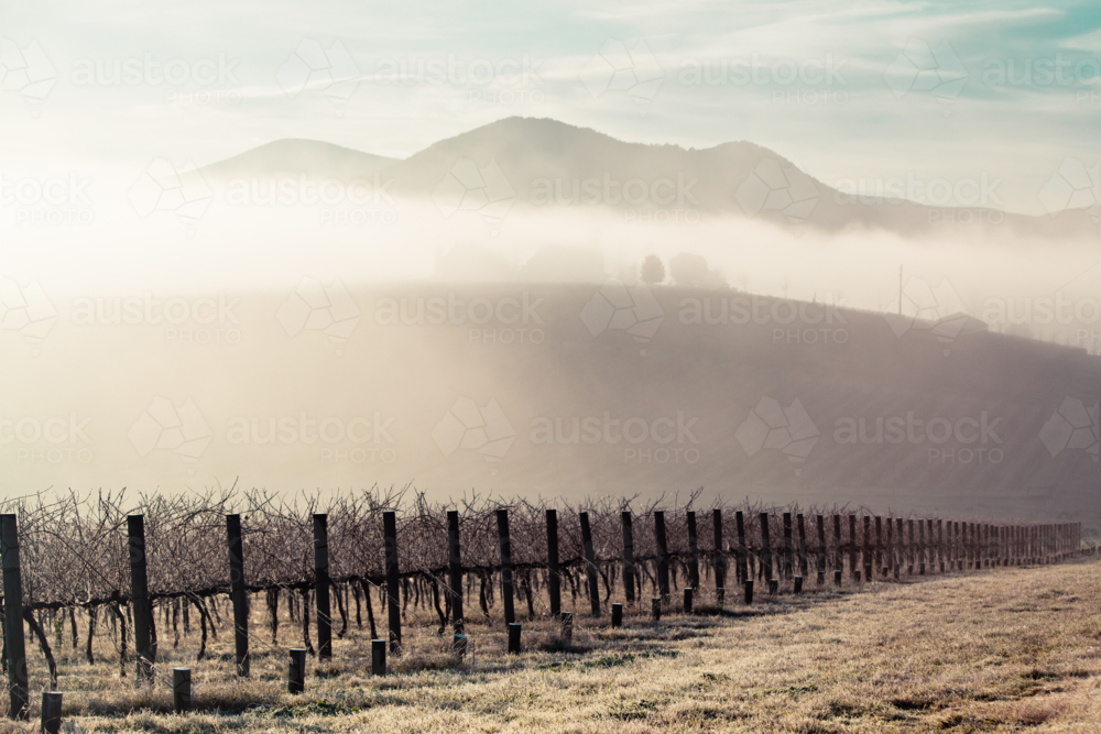 Image of Sunrise with fog on a cold winter's morning in the Yarra ...
