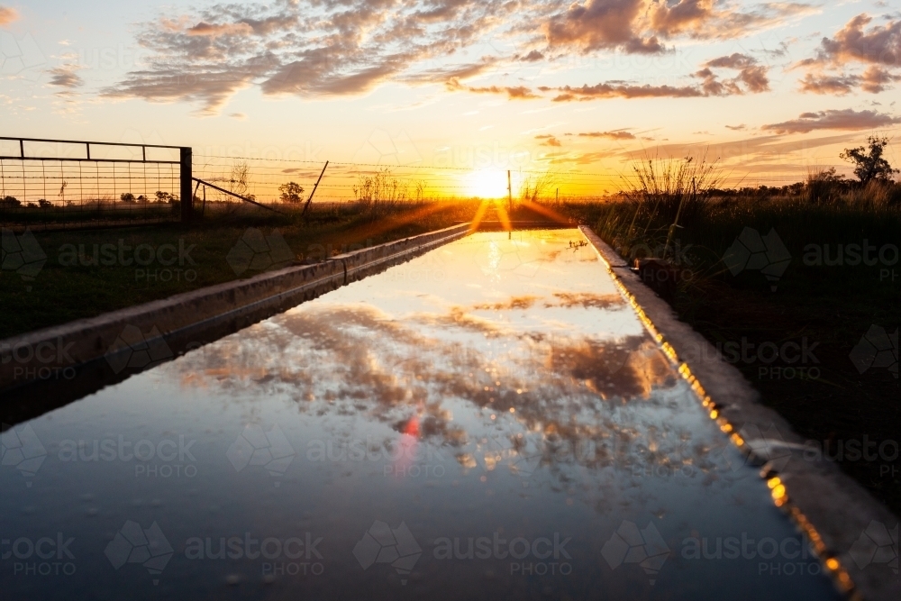 Image of sunset clouds reflected in water of trough on farm with light ...
