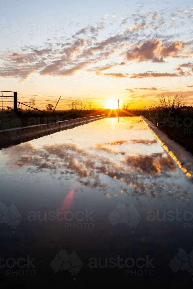 Image of sunset clouds reflected in water of trough on farm with light ...