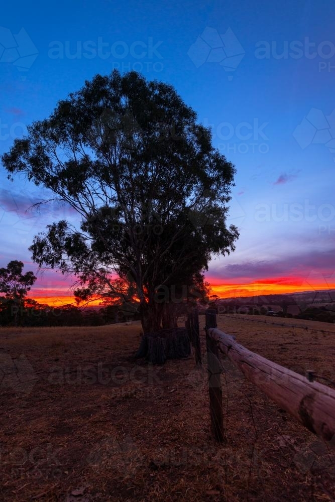 Image of Sunset in rural Australia - Austockphoto