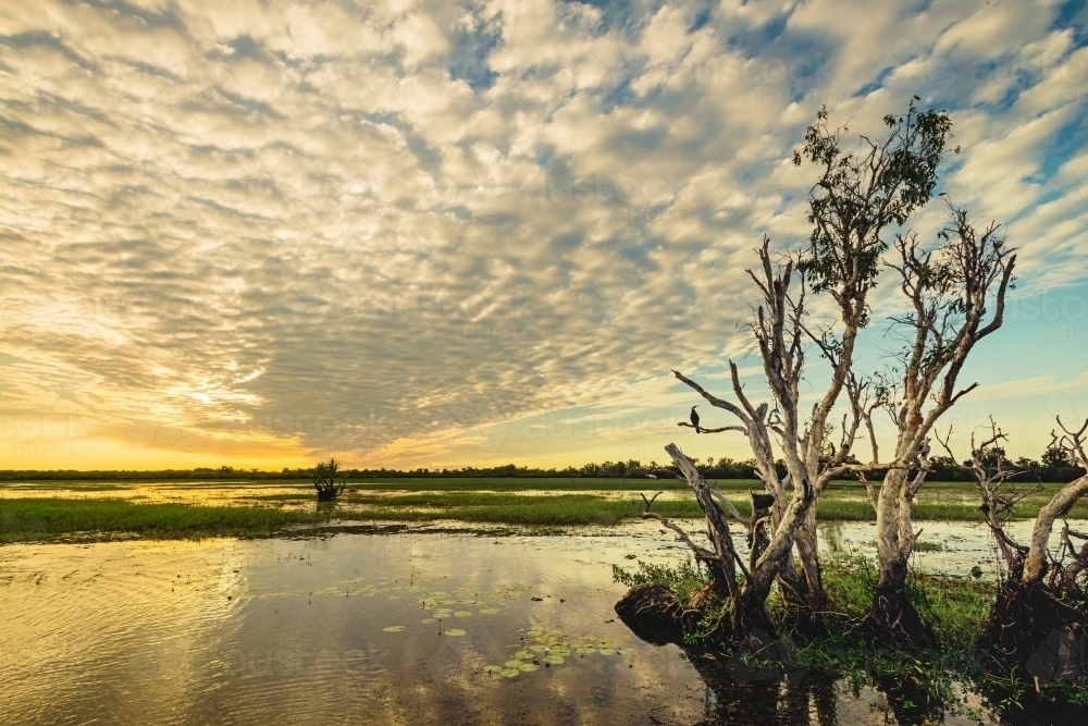 Image of sunset on a wetland in Australia - Austockphoto