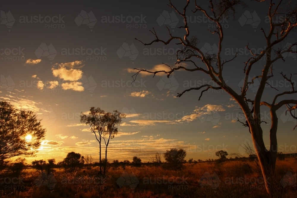Image of Sunset over paddock in remote Australia - Austockphoto