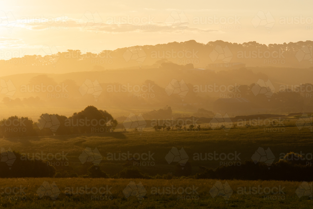 Image of Sunset over paddock, trees and farmland on the Mornington Peninsula - Austockphoto