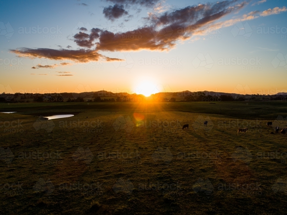 Image of Sunset over shadowed farm paddock with last light on grass ...