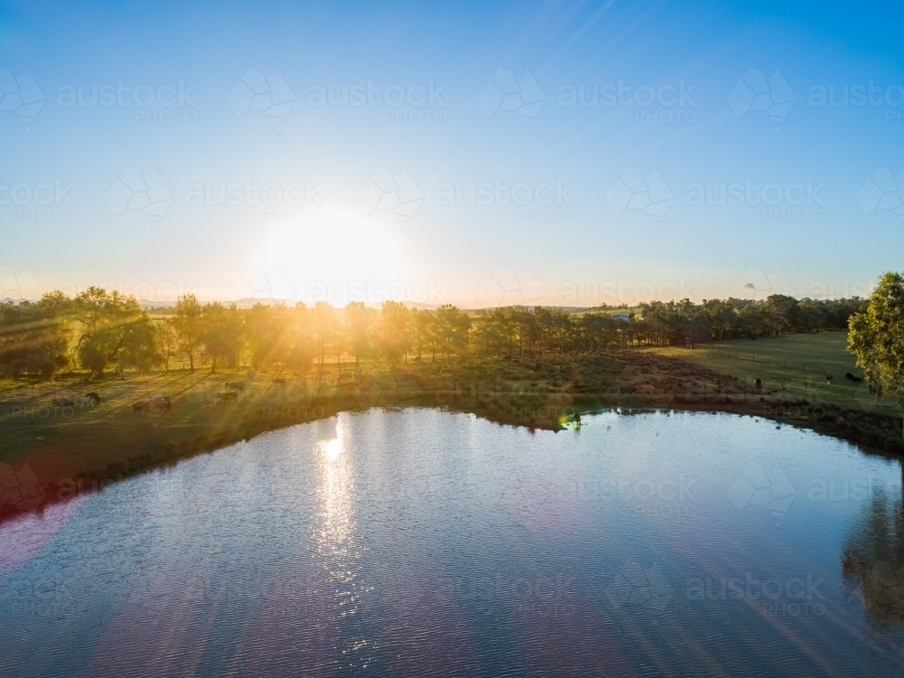 Image of Sunset rays over water of farm dam with cattle in paddock ...
