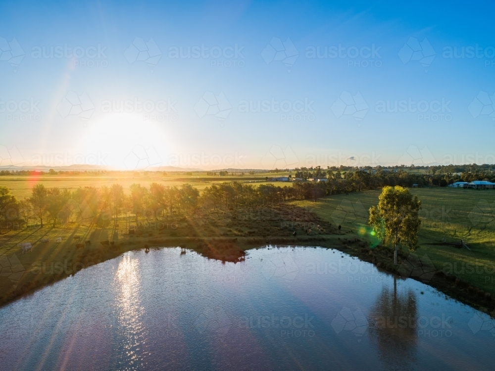 Image of Sunset rays over water of farm dam with cattle in paddock ...