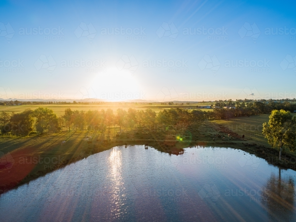 Image of Sunset rays over water of farm dam with cattle in paddock ...