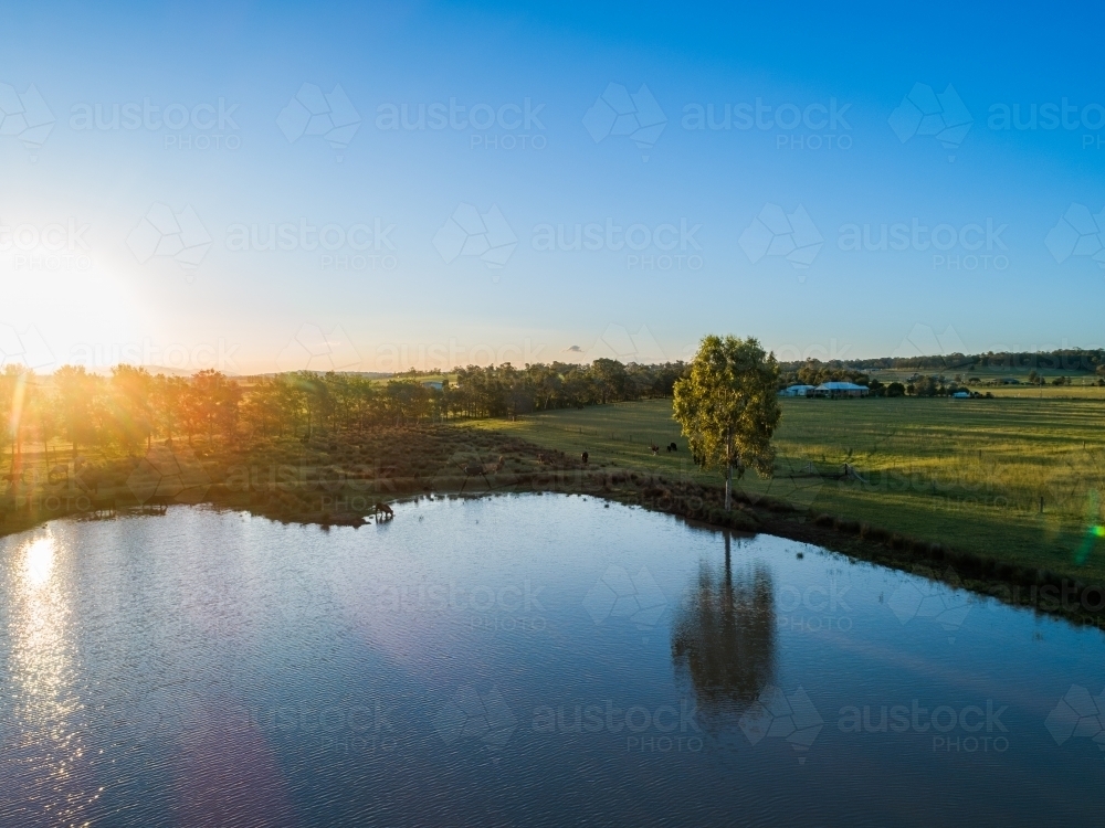 Image of Sunset rays over water of farm dam with cattle in paddock ...